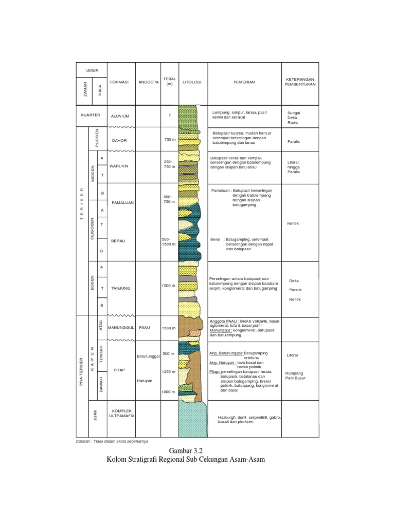 Stratigrafi Cekungan Asam Asam - Compress | PDF