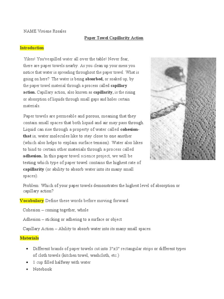 Paper Towel Capillary Action Experiment | PDF | Materials | Chemistry