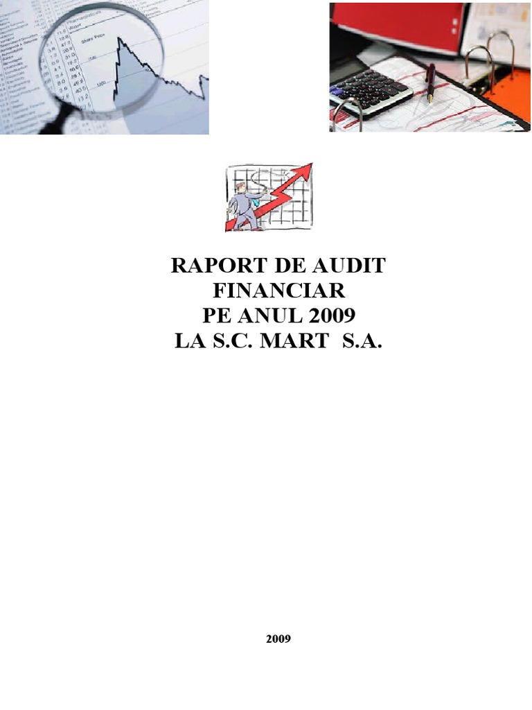 Raport Audit-Proiect Final | PDF
