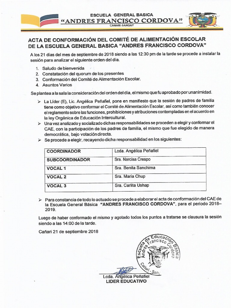 Acta de La Conformacion Del Cae | PDF