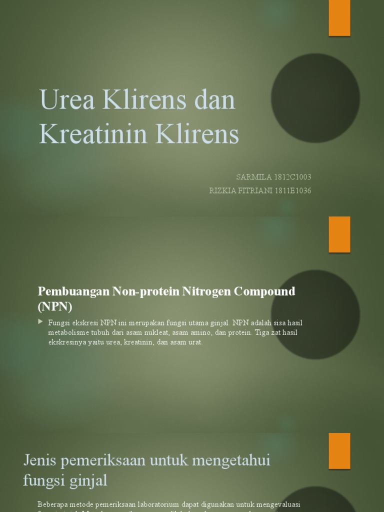 Urea Klirens Dan Kreatinin Klirens | PDF