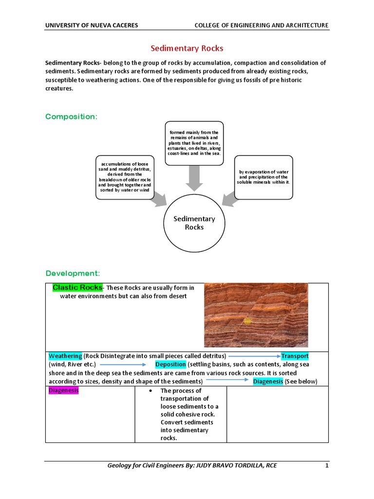Understanding Sedimentary Rocks in Geology | PDF | Sedimentary Rock | Shale