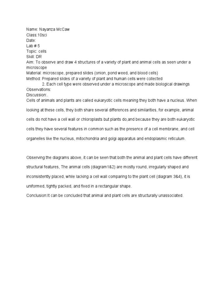 Lab 5-Drawing Cells | PDF