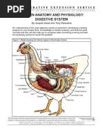 Grade 11 DIGESTIVE SYSTEM LECTURE NOTES | PDF | Human Digestive System ...