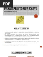 Abcd Primeros Auxilios - RCP | PDF | Reanimación cardiopulmonar ...