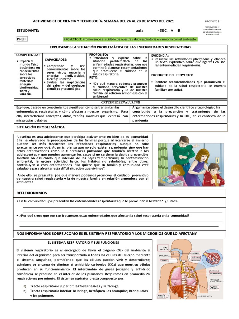 1ro y 2do - Cyt | PDF | Sistema respiratorio | Pulmón