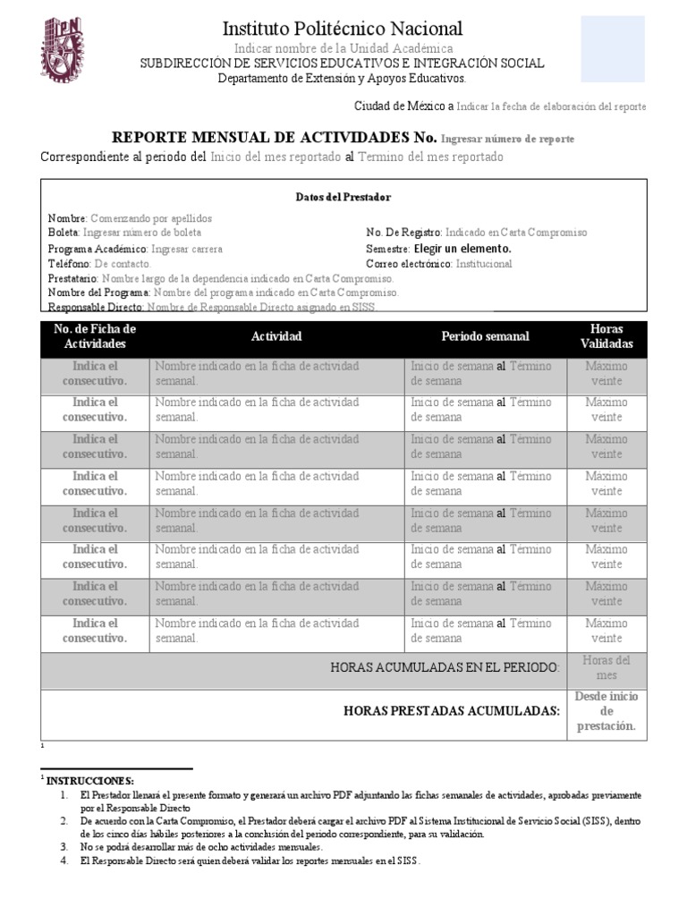 Reporte Mensual Actividades | PDF