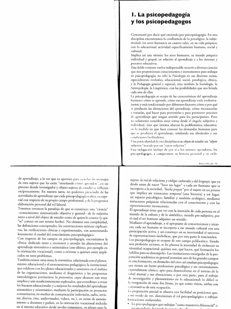 La Psicopedagogia y Los Psicopedagogos - Marina Müller | PDF