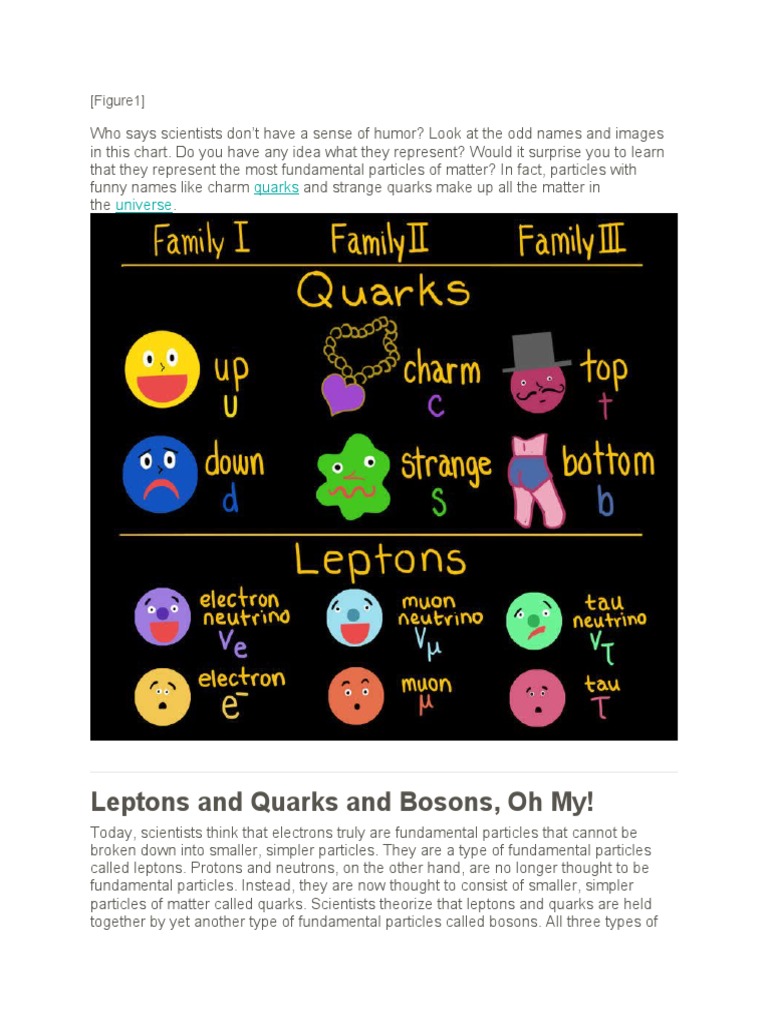 Fundamental Particles Explained | PDF | Elementary Particle | Quark