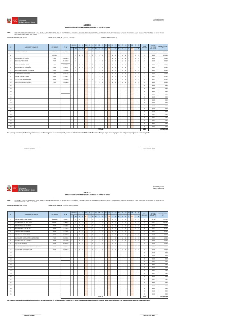 Planilla Actualizada 11 - 30 Noviembre | PDF