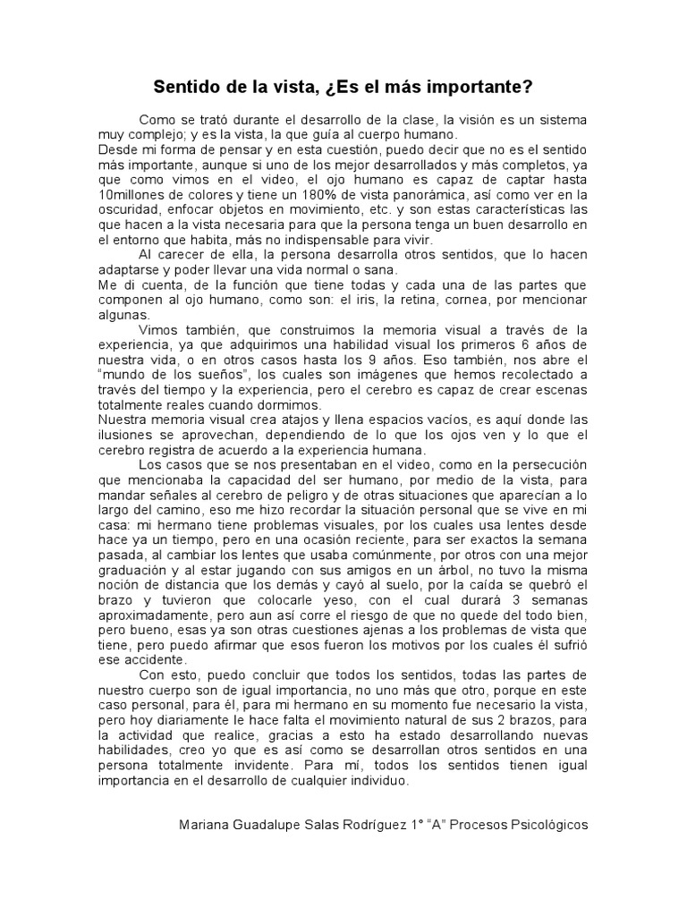 La Visión Es El Sentido Más Importante | PDF | Percepción visual | Ojo ...