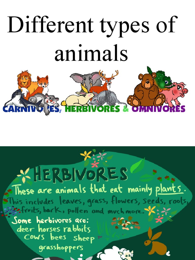 Different Types of Animals | PDF