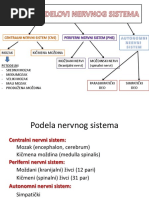 Provera Znanja Sluzba Reci U Recenici 4. Razred | PDF