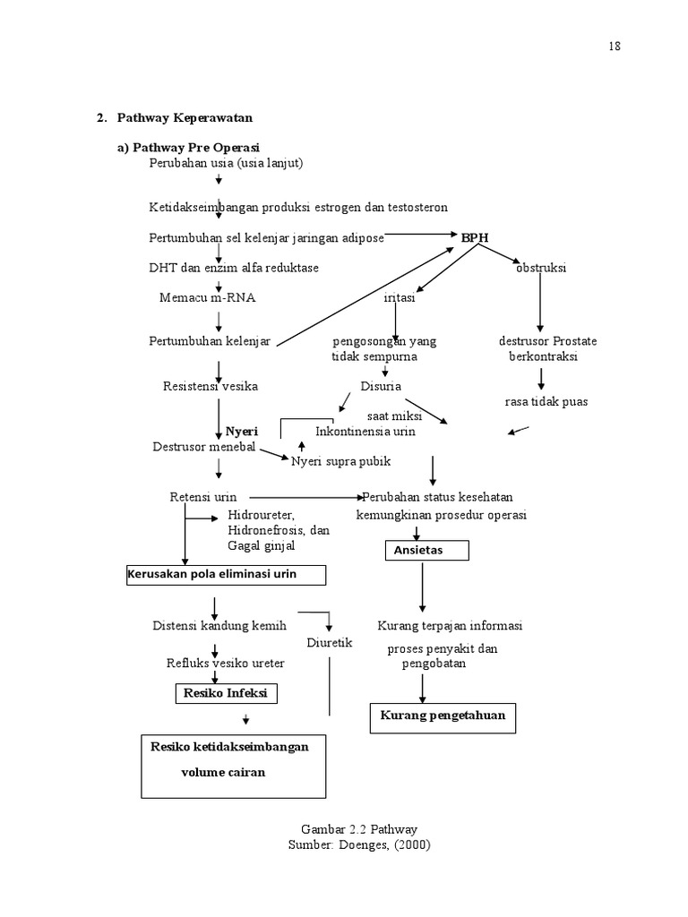 Pathway Keperawatan BPH dan Komplikasi Urin | PDF