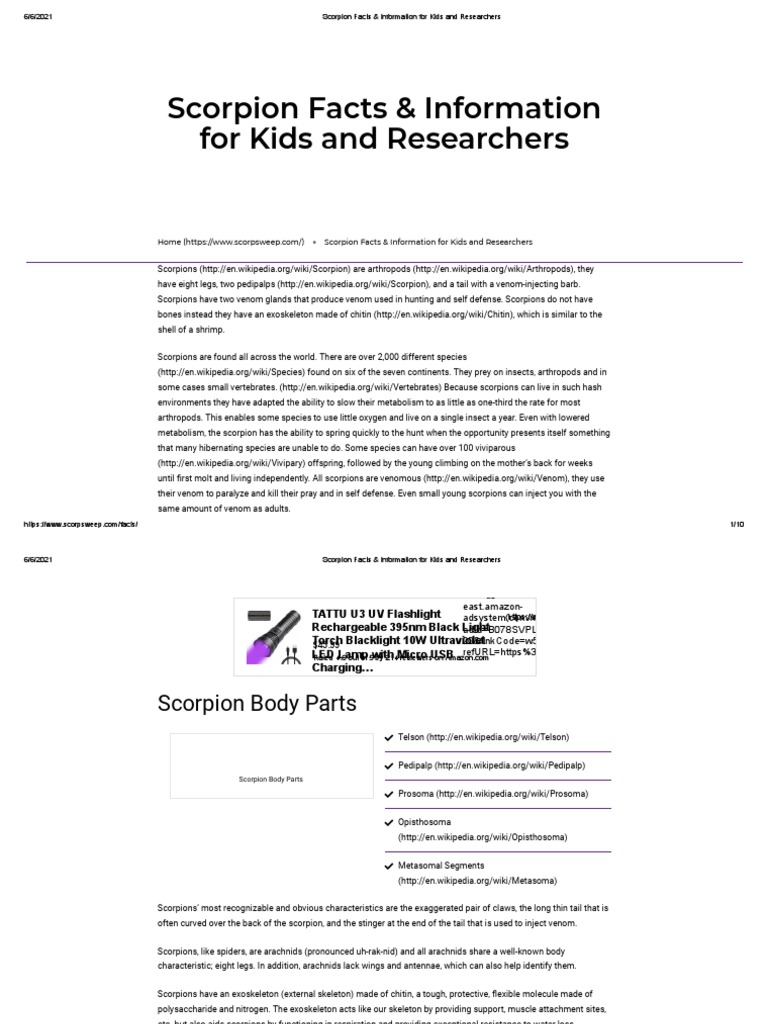 Scorpion Facts & Information For Kids and Researchers | PDF | Venom ...