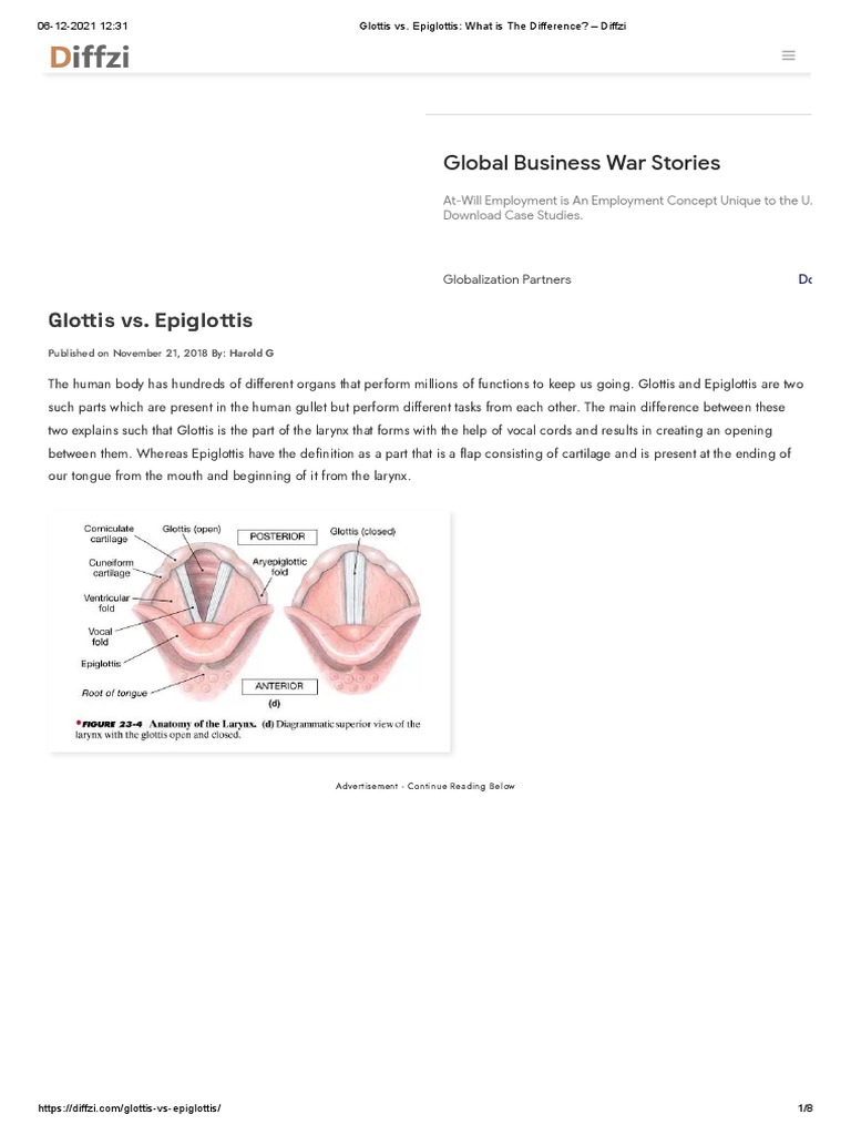 Glottis vs. Epiglottis - What Is The Difference - Diffzi | PDF | Larynx ...