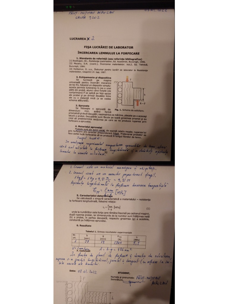 L2-Incercarea La Forfecare | PDF
