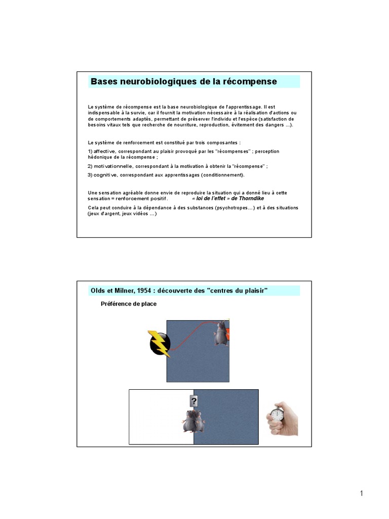 Circuit de la récompense et addiction | PDF | Système de récompenses ...