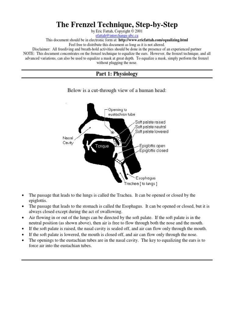Frenzel Techinique Eric Fattah | PDF | Mouth | Breathing