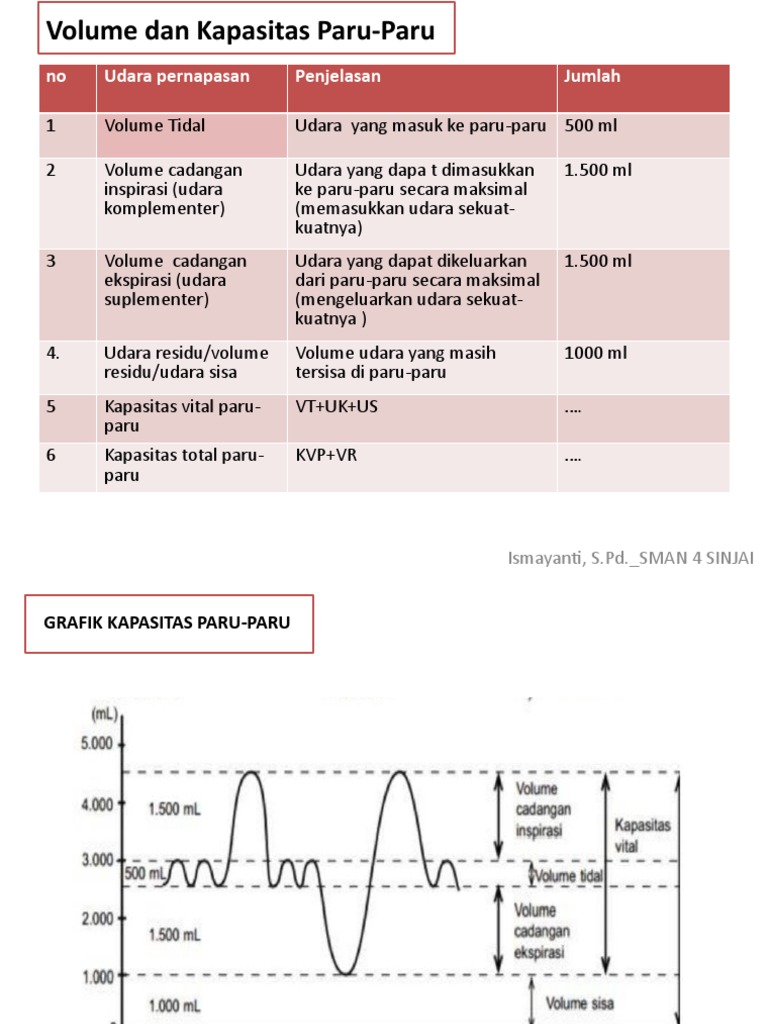 Volume Dan Kapasitas Paru-Paru | PDF