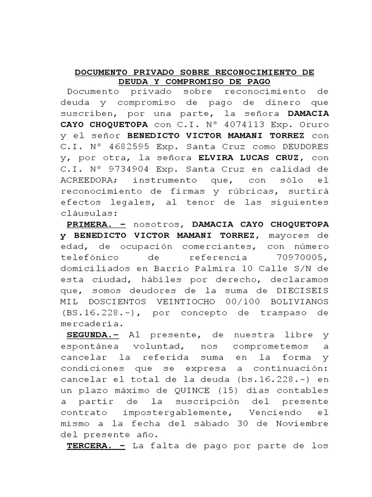 Reconocimiento de Deuda Con Mercaderia | PDF | Pagos | Derecho empresarial