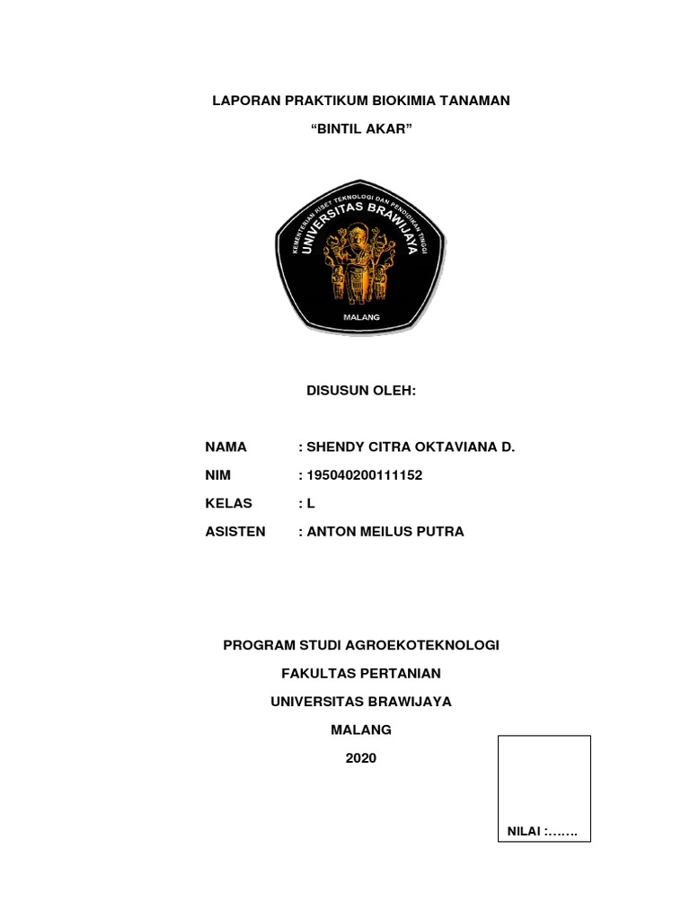 Bintil Akar | PDF | Sains & Matematika