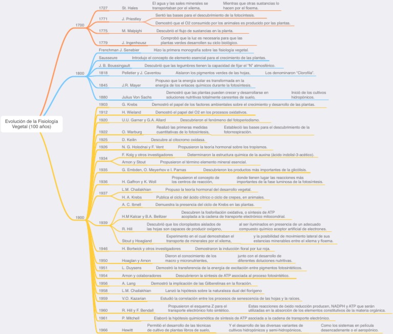 Mind Map 2 | PDF | Fotosíntesis | Química
