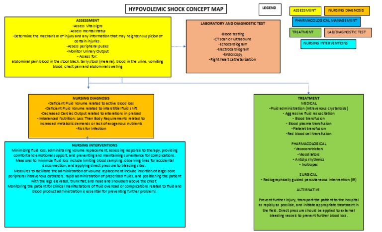 Hypovolemic Shock Concept Map | PDF | Shock (Circulatory) | Intravenous Therapy