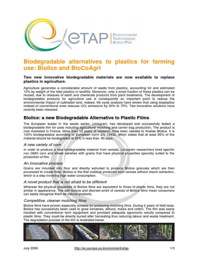 Biodegradable Alternatives To Plastics | PDF | Biopolymer | Biodegradation