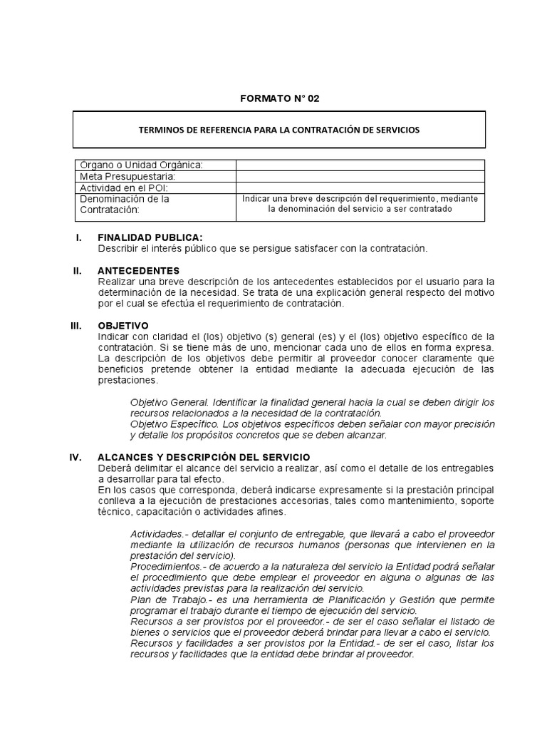 FORMATO 2 TDR Servicios | PDF | Gestión de recursos humanos
