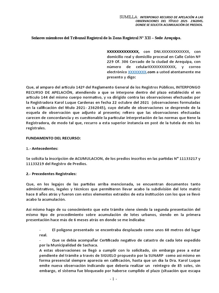 Apelación Tribunal Registral | PDF | Apelación | Justicia