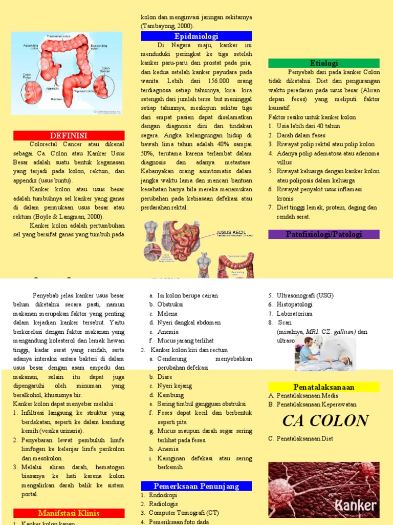 Leaflet Ca Colon | PDF