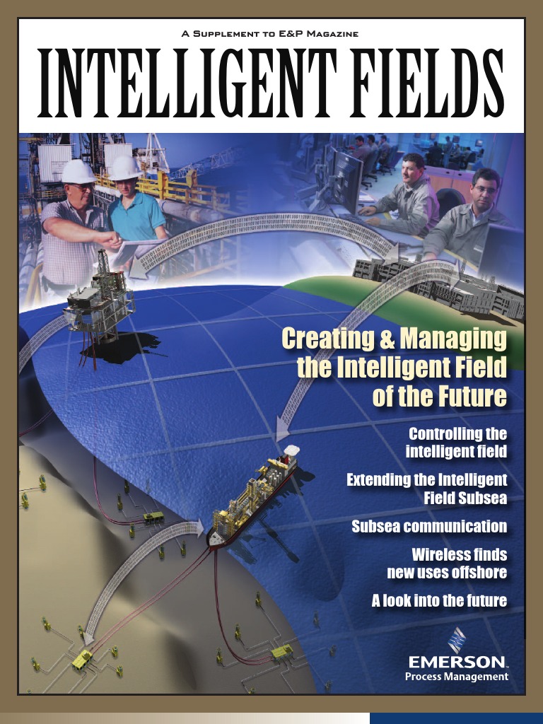 Intelligent Fields Supplement | PDF | Business Process Management ...
