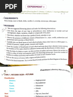 Class 9 Science Lab Manual - Slide of Onion Peel and Cheek Cells | PDF ...