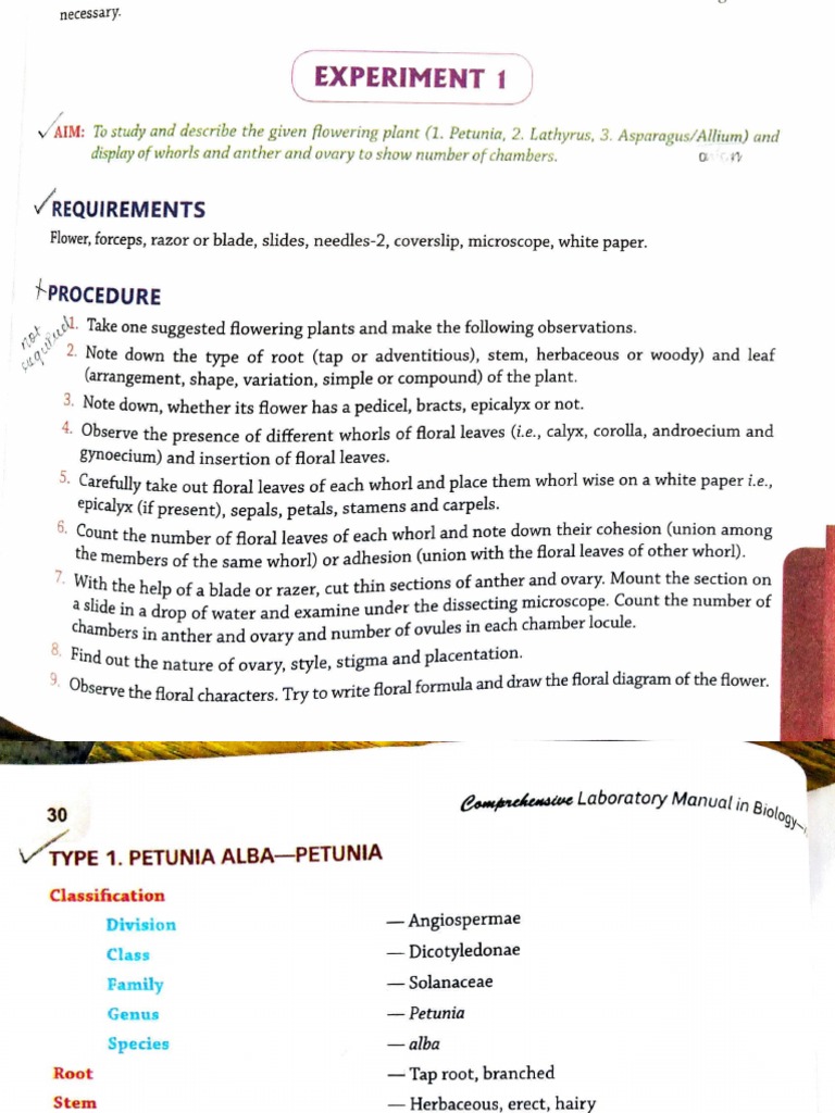 Biology Experiment 3 Study of Flowering Plant | PDF | Flowers | Petal