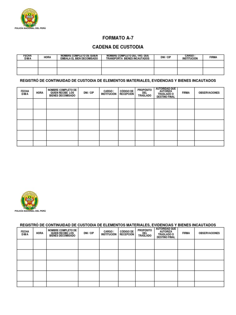 07.formato A-7-Cadena de Custodia | PDF