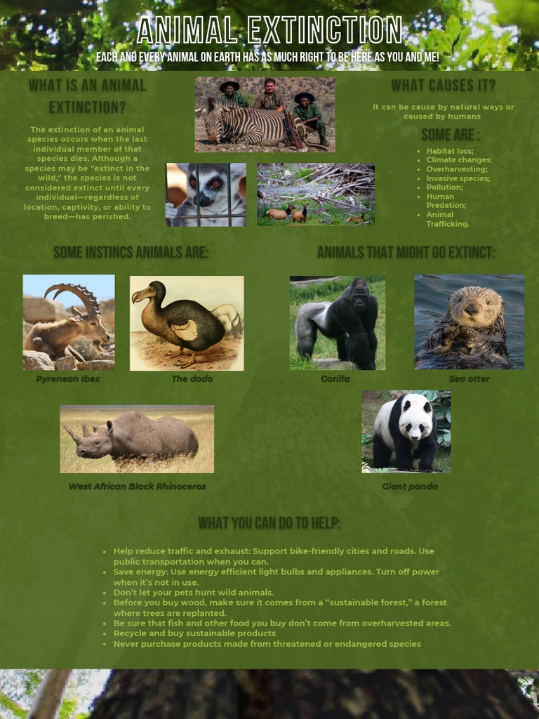 Animal Extinction Animal Extinction | PDF | Extinction | Endangered Species