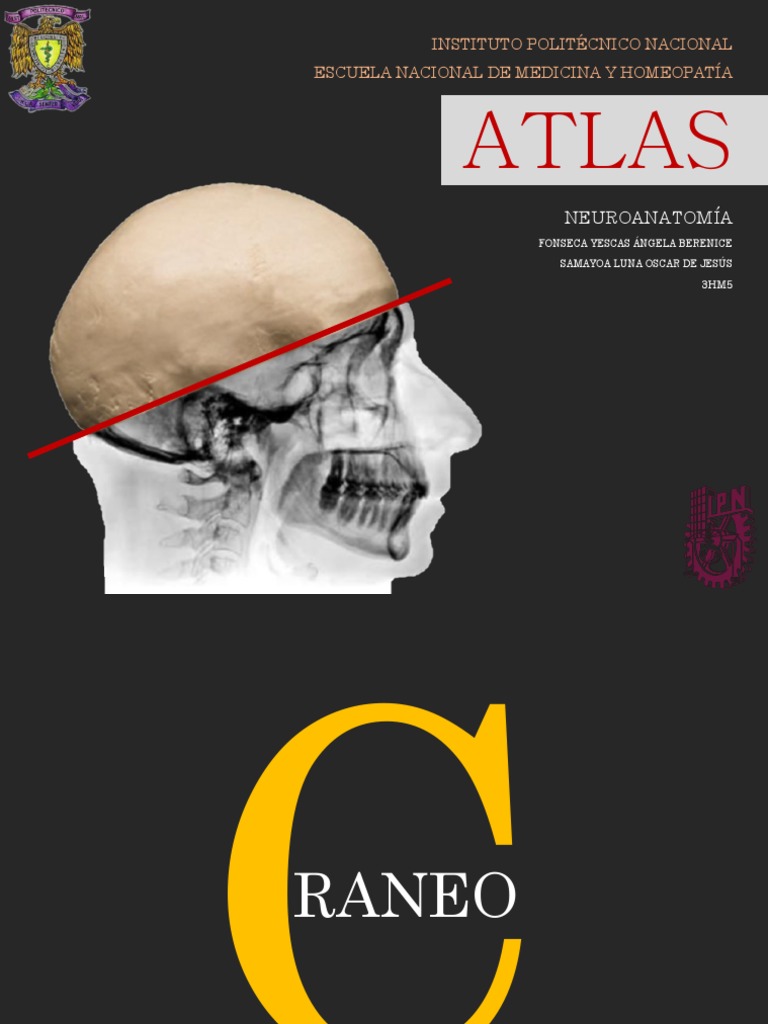 Atlas Neuro 1 Ipn | PDF | Cabeza y cuello humanos | Anatomía humana