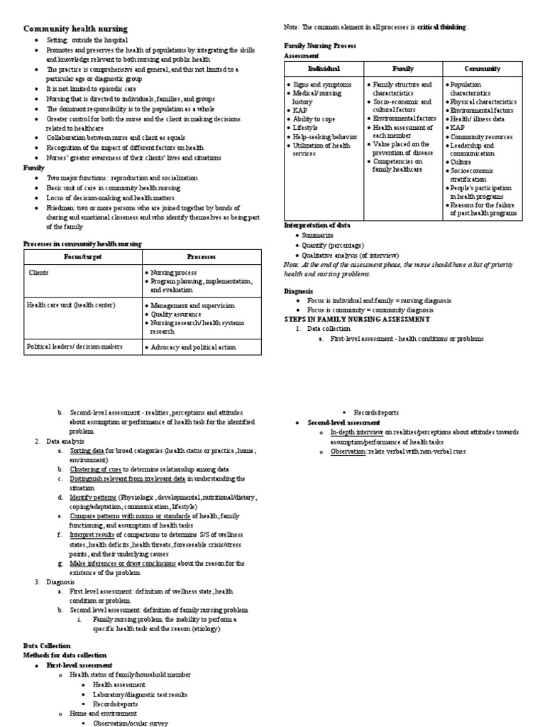 Family Nursing Process | PDF | Nursing | Preventive Healthcare