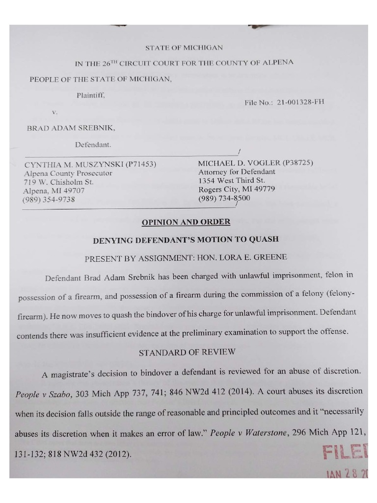 Srebnik Decision - Motion To Quash Bindover | PDF