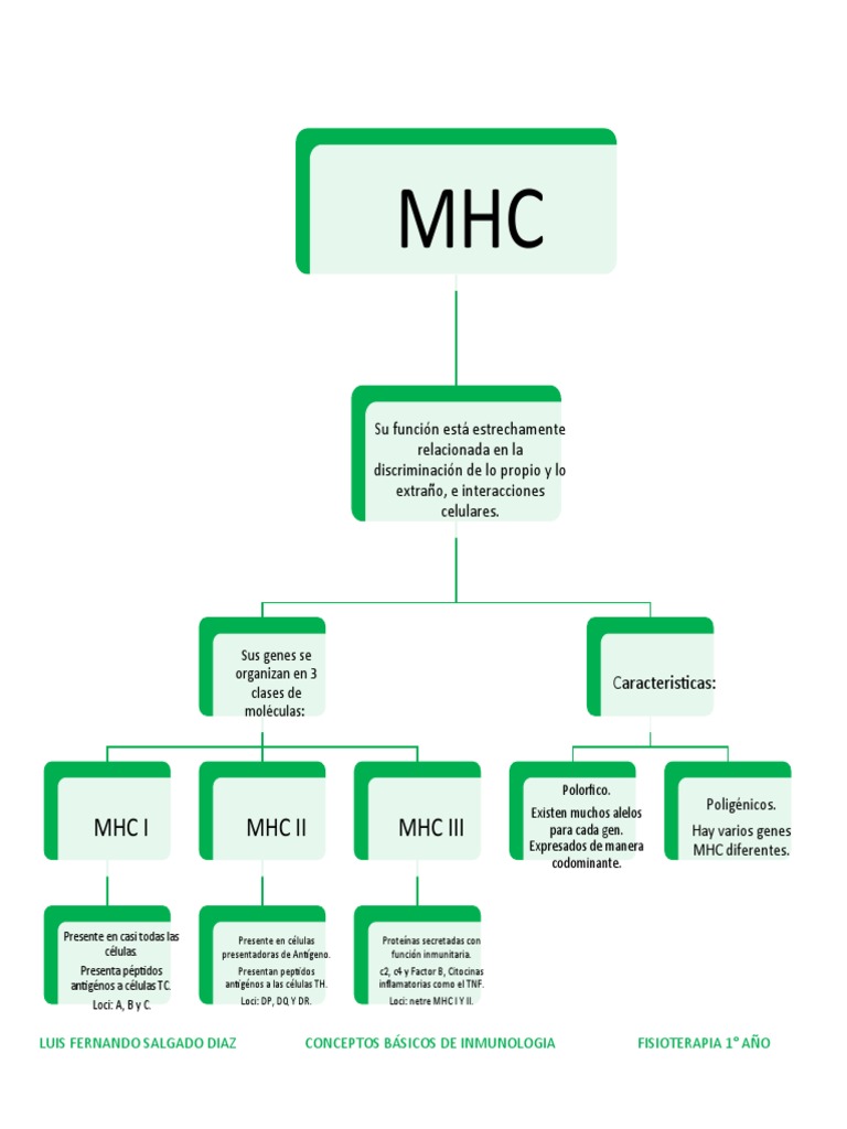 MHC I MHC Ii MHC Iii | PDF