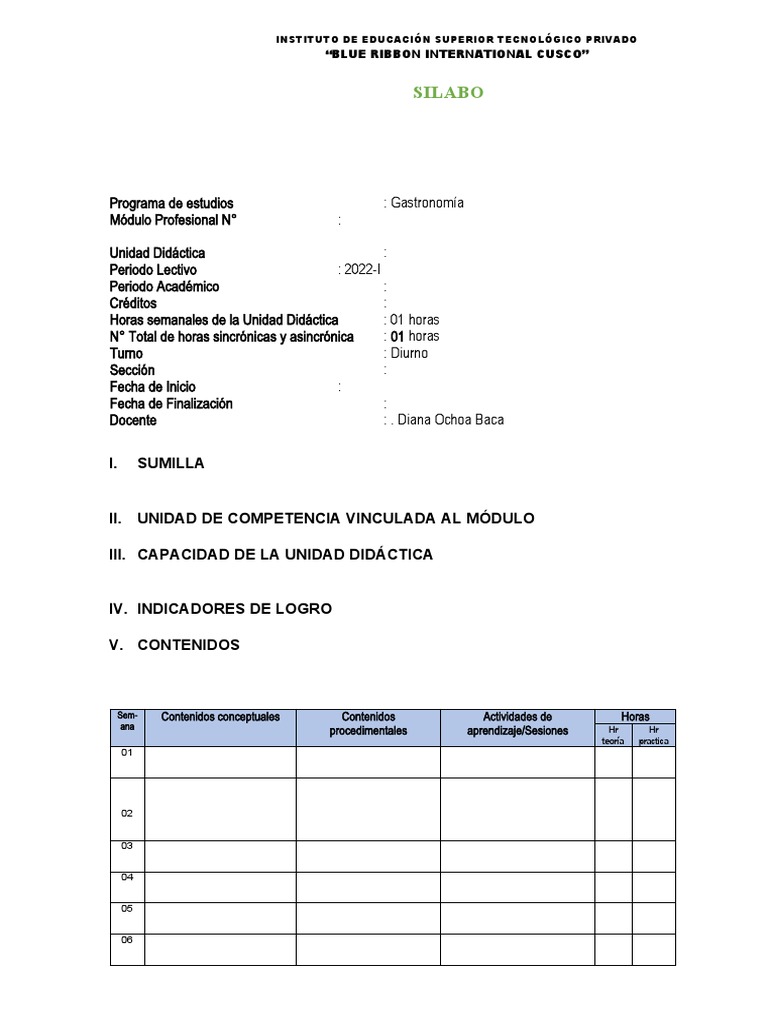 Formato Silabo | PDF | Evaluación | Maestros