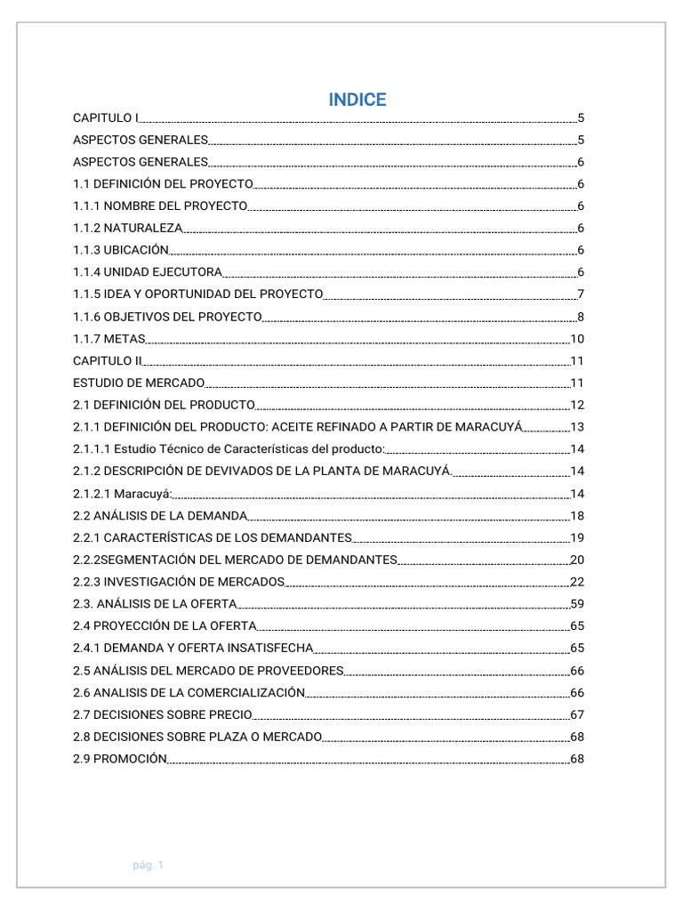 PROYECTO CAP I y II.1 | PDF