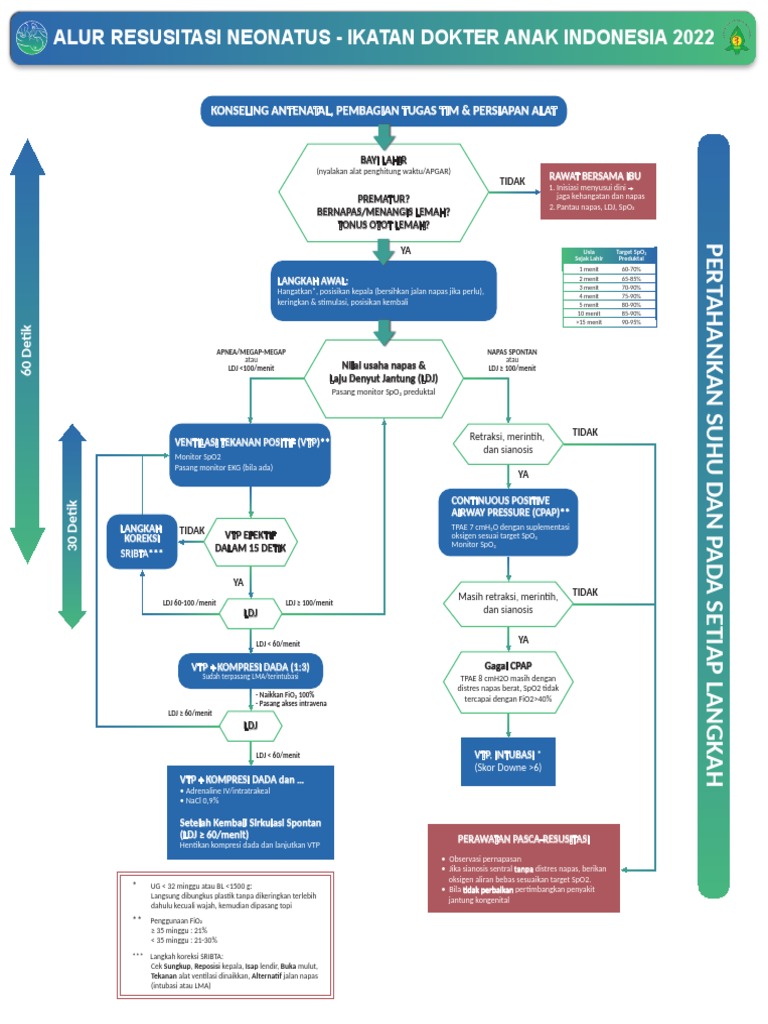 Alur Resusitasi Neonatus IDAI 2022 (Recovered) | PDF