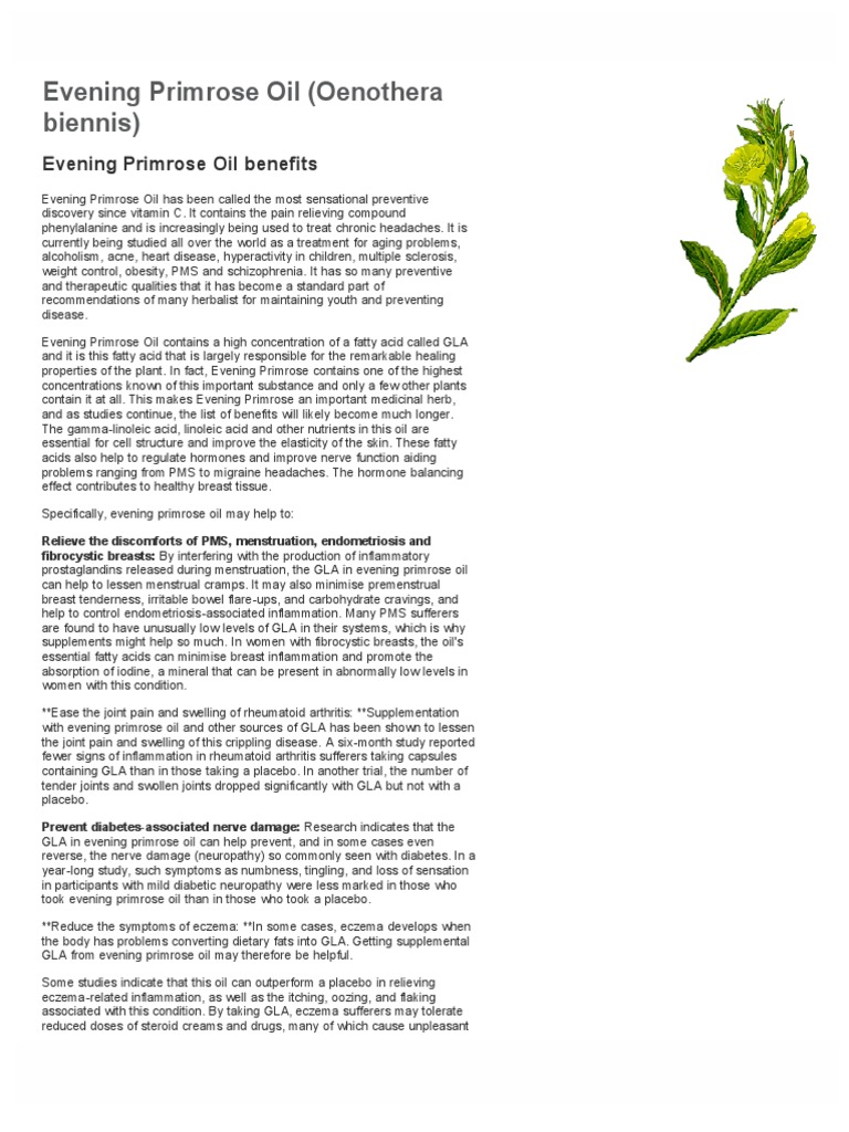 Evening Primrose Oil Benefits & Information | PDF | Premenstrual ...