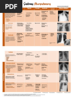 Laminación de Rexed | PDF | Médula espinal | Cerebelo