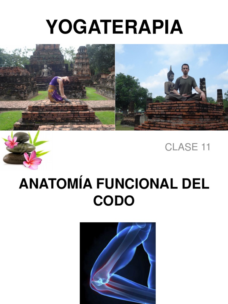 Clase11 - Codo, Muñeca, Manos, Nadis | PDF | Codo | Mano