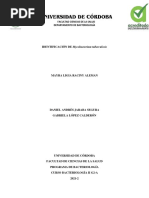 Medio MIO | PDF | Enzima | Química