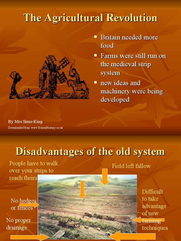 The Agricultural Revolution | PDF | Agriculture | Enclosure