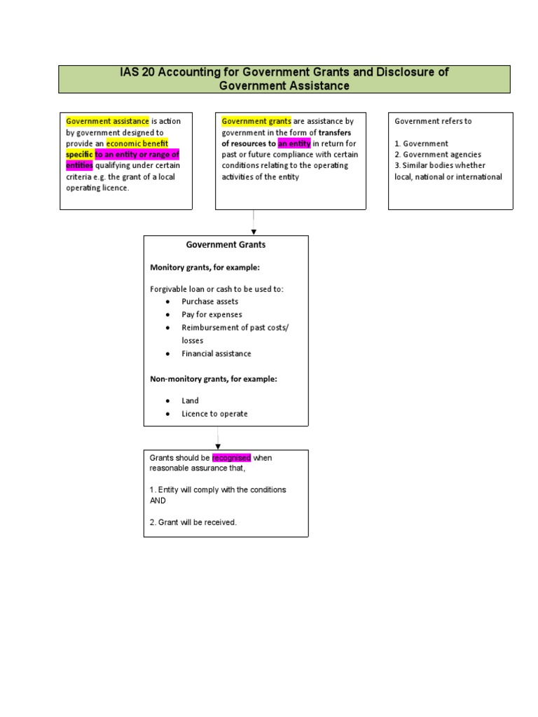 IAS 20 Accounting For Government Grants and Disclosure of Government Assistance | PDF ...